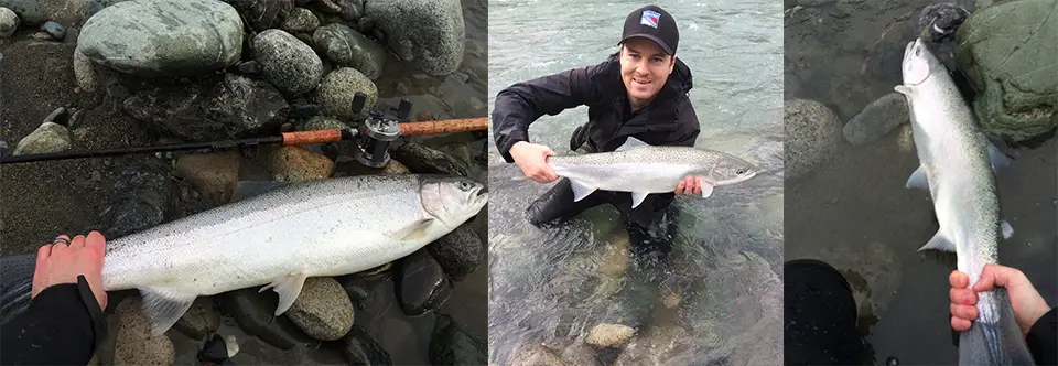 Winter Steelhead - 3 Fish Day! - BC Fishing Journal