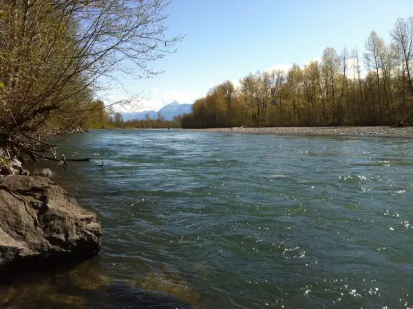 Vedder / Chilliwack River - Fishing Locations - BC Fishing Journal