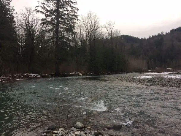 Vedder / Chilliwack River - Fishing Locations - BC Fishing Journal