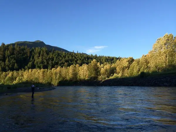 Vedder / Chilliwack River - Fishing Locations - BC Fishing Journal