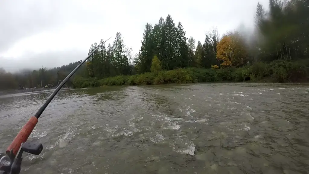 Vedder / Chilliwack River - Fishing Locations - BC Fishing Journal