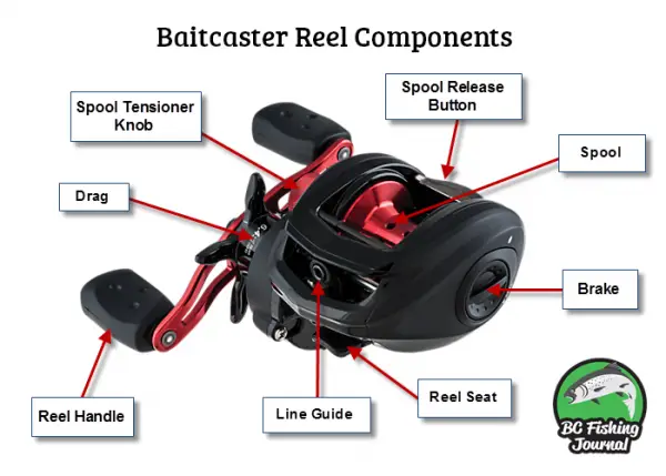 Tackle Guide: Best Baitcasting Reel for 2022 - BC Fishing Journal