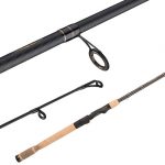 Tackle Guide: Best Spinning Rod for 2022 - BC Fishing Journal