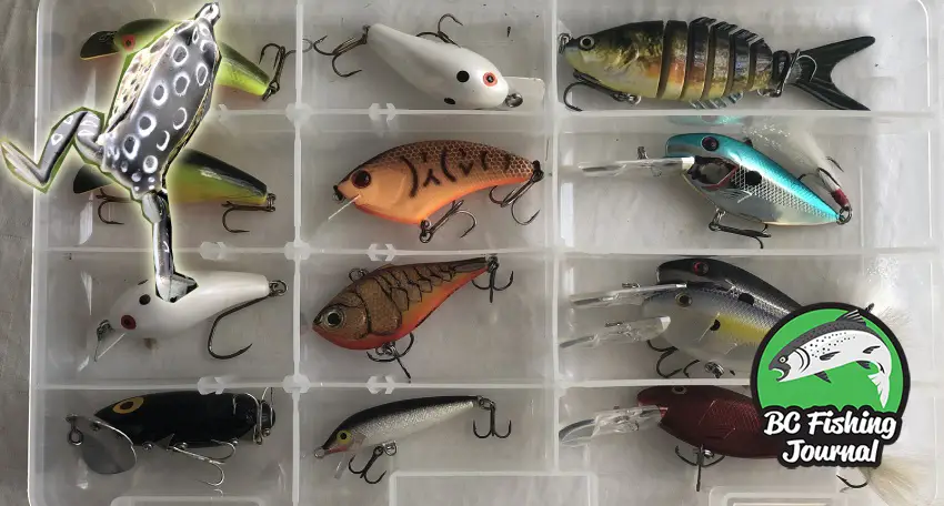 Bass Fishing Lure Types