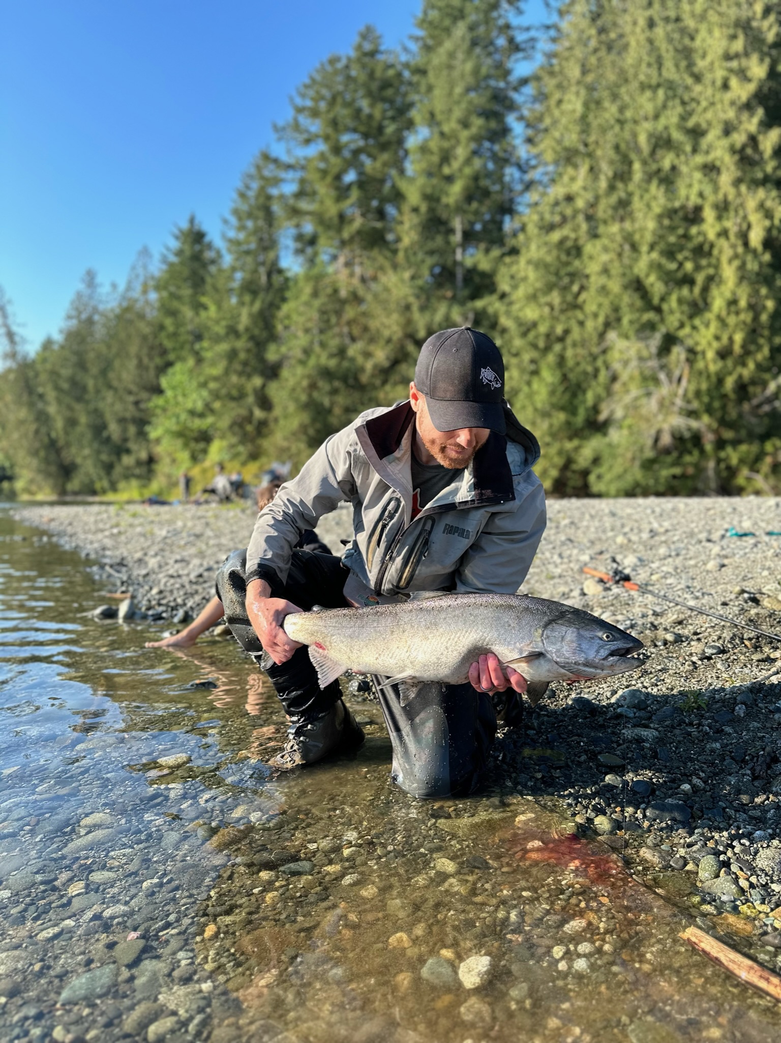 Chinook (King) Salmon - BC Fishing Journal