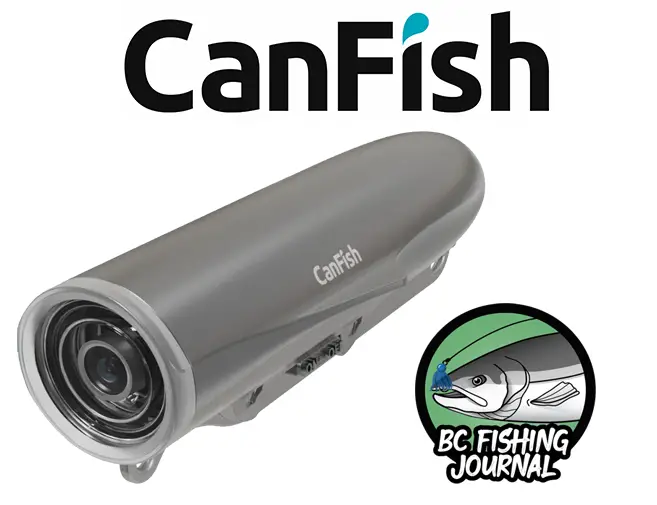 CanFish Fishing CamX Review : Best Underwater Fishing Camera - BC ...