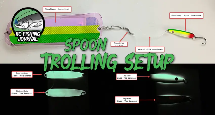 Best Salmon Lures for Trolling - No Bananas for the W - BC Fishing Journal