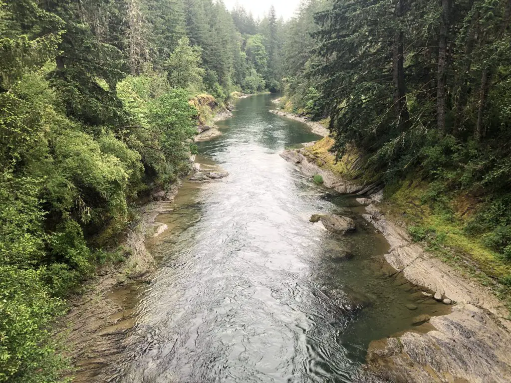 Cowichan River Fishing Locations - BC Fishing Journal